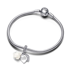 Pandora charm collection store